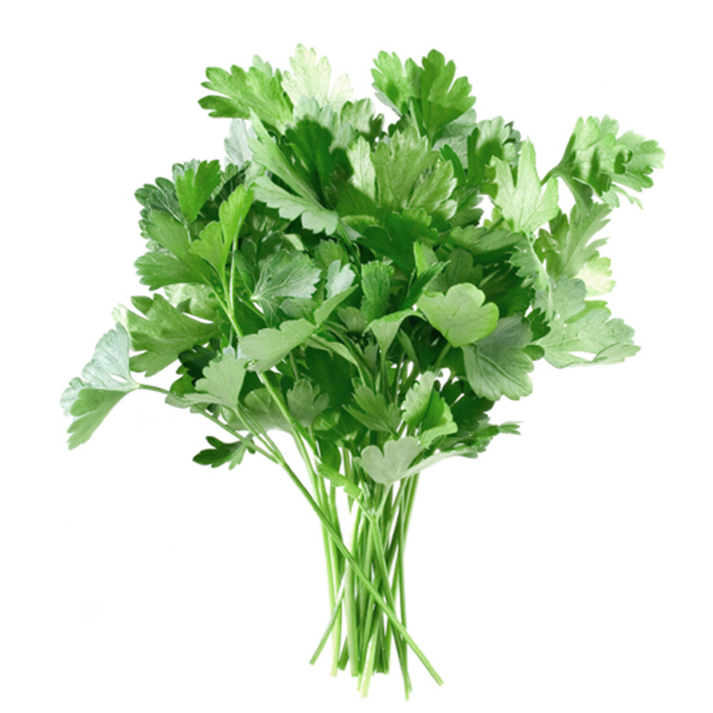 Cần tây nhỏ 100g