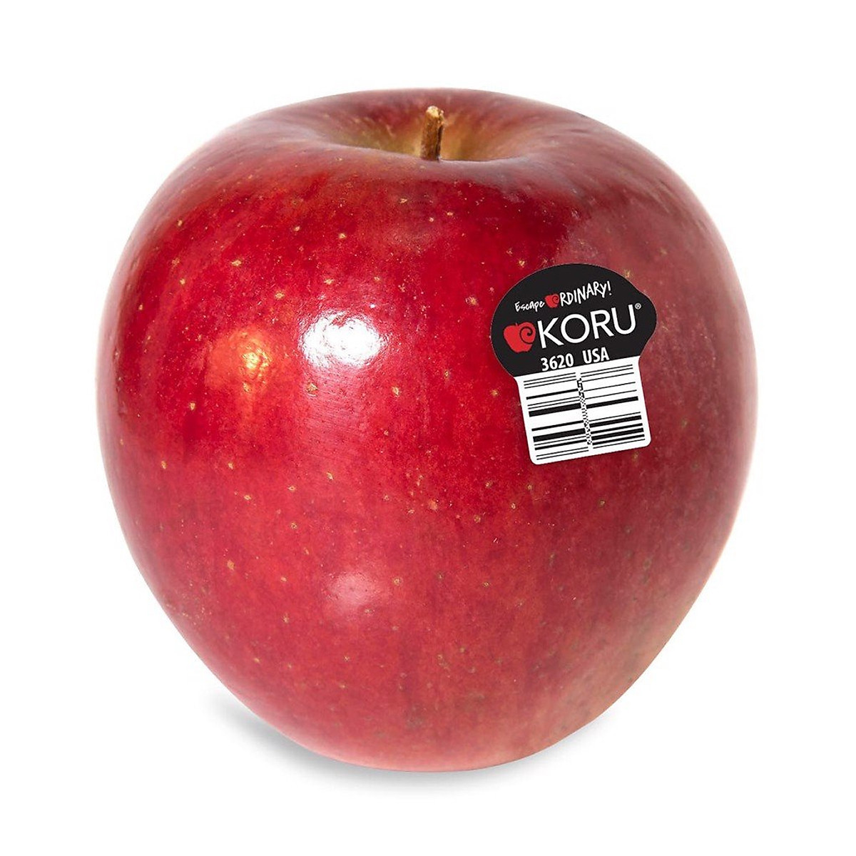 Táo Koru Mỹ